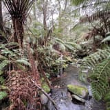 Lower Kalimna Falls, Victoria, Australia - 129 Reviews, Map | AllTrails