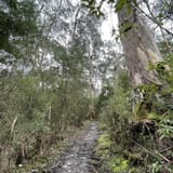 Lower Kalimna Falls, Victoria, Australia - 87 Reviews, Map | AllTrails