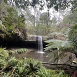 Lower Kalimna Falls, Victoria, Australia - 129 Reviews, Map | AllTrails