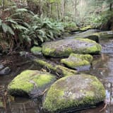 Lower Kalimna Falls, Victoria, Australia - 87 Reviews, Map | AllTrails