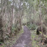 Lower Kalimna Falls, Victoria, Australia - 129 Reviews, Map | AllTrails