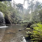 Lower Kalimna Falls, Victoria, Australia - 129 Reviews, Map | AllTrails