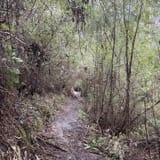 Lower Kalimna Falls, Victoria, Australia - 129 Reviews, Map | AllTrails