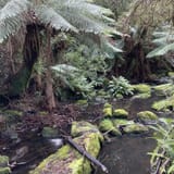 Lower Kalimna Falls, Victoria, Australia - 94 Reviews, Map | AllTrails