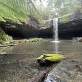 Lower Kalimna Falls, Victoria, Australia - 129 Reviews, Map | AllTrails