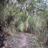 Lower Kalimna Falls, Victoria, Australia - 94 Reviews, Map | AllTrails