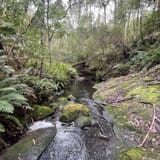 Lower Kalimna Falls, Victoria, Australia - 94 Reviews, Map | AllTrails