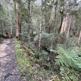 Lower Kalimna Falls, Victoria, Australia - 94 Reviews, Map | AllTrails
