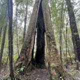 Lower Kalimna Falls, Victoria, Australia - 94 Reviews, Map | AllTrails