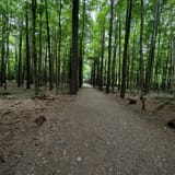 Five Mile Trail, New York - 1,214 Reviews, Map | AllTrails