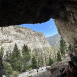 Mary Jane Falls Trail [CLOSED], Nevada - 4,746 Reviews, Map | AllTrails
