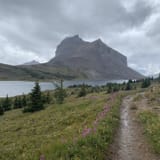 Skoki Loop Backpacking Trail, Alberta, Canada - 363 Reviews, Map ...