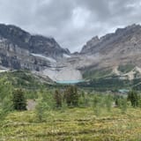 Skoki Loop Backpacking Trail, Alberta, Canada - 363 Reviews, Map ...