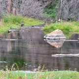 Strawberry River, Utah - 58 Reviews, Map | AllTrails