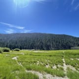 Linton Lake Trail, Oregon - 224 Reviews, Map | AllTrails