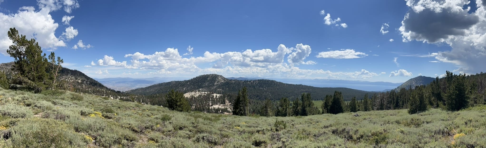 Rim to Reno Trail to Upper Thomas Creek Trail: 32 Reviews, Map - Nevada ...