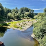 Willapa Hills Trail, Washington - 334 Reviews, Map | AllTrails