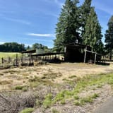 Willapa Hills Trail, Washington - 334 Reviews, Map | AllTrails
