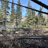 Lake Stuart Trail, Washington - 684 Reviews, Map | AllTrails