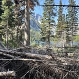 Lake Stuart Trail, Washington - 684 Reviews, Map | AllTrails