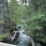 Lake Stuart Trail, Washington - 664 Reviews, Map | AllTrails