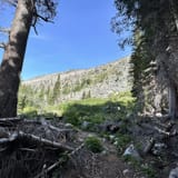 Lake Stuart Trail, Washington - 684 Reviews, Map | AllTrails