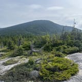 Little Jackson Mountain Trail, Maine - 306 Reviews, Map | AllTrails