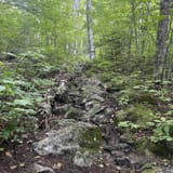 Little Jackson Mountain Trail, Maine - 306 Reviews, Map | AllTrails