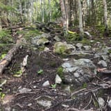Little Jackson Mountain Trail, Maine - 306 Reviews, Map | AllTrails
