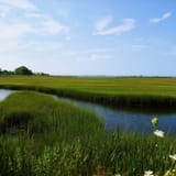 Barn Island Wildlife Management Area Trail, Connecticut - 715 Reviews ...
