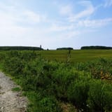 Barn Island Wildlife Management Area Trail, Connecticut - 707 Reviews ...