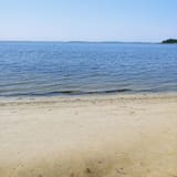 Barn Island Wildlife Management Area Trail, Connecticut - 715 Reviews ...