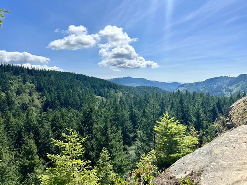 10 Best Hikes and Trails in Larrabee State Park | AllTrails