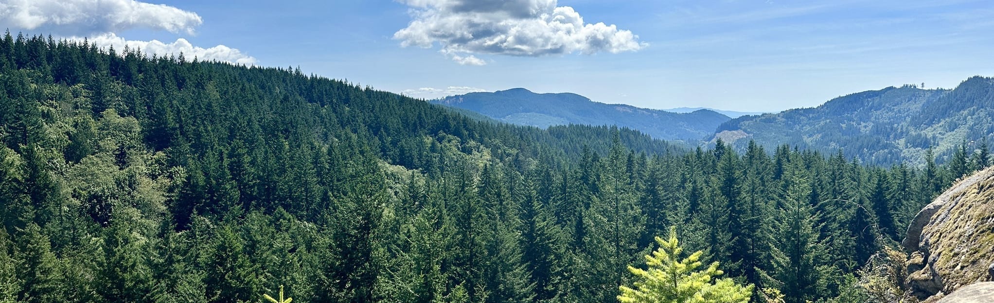 Raptor Ridge Loop, Washington - 229 Reviews, Map | AllTrails