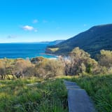 The Coast Track, New South Wales, Australia - 361 Reviews, Map | AllTrails