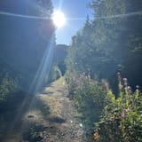 Cyclone Lookout Trail , Montana - 196 Reviews, Map | AllTrails