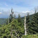 Mount Buckley via Clingmans Dome Bypass Trail, North Carolina - 886 ...