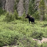 Upper Red Castle Lake via East Fork Smiths Fork, Wyoming - 257 Reviews ...