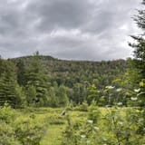Calamity Brook Trail to Lake Colden, New York - 372 Reviews, Map ...