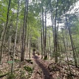 Calamity Brook Trail to Lake Colden, New York - 308 Reviews, Map ...