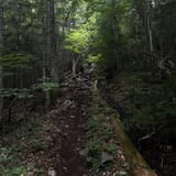 Calamity Brook Trail to Lake Colden, New York - 372 Reviews, Map ...