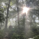 Appalachian Trail, Lost Cove, and Lakeshore Loop, North Carolina - 137 ...