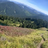 Johnson Ridge Trail, Washington - 270 Reviews, Map | AllTrails
