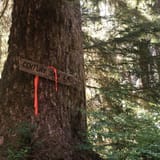 Century Sam Lake, British Columbia, Canada - 446 Reviews, Map | AllTrails