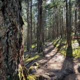 Mount Constitution via Mountain Lake and Little Summit Loop, Washington ...