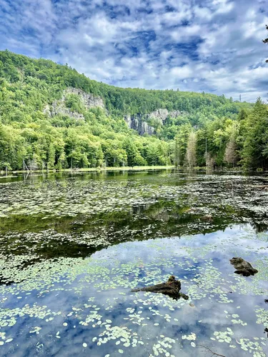 2023 Best Lake Trails in Prevost | AllTrails