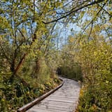 Mercer Slough Nature Park, Washington - 890 Reviews, Map | AllTrails