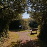 Mercer Slough Nature Park, Washington - 890 Reviews, Map | AllTrails