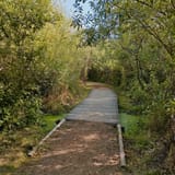 Mercer Slough Nature Park, Washington - 890 Reviews, Map | AllTrails