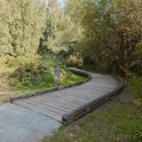 Mercer Slough Nature Park, Washington - 890 Reviews, Map | AllTrails